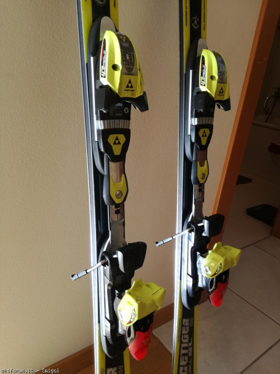 Voelkl World Cup Racetiger Speedwall SL