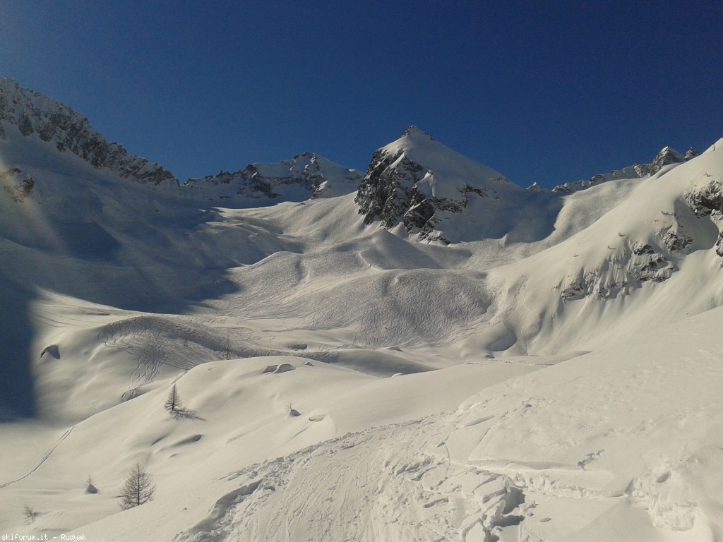 Cima Presena 3069 | SkiForum - Sci, turismo, sport e passione