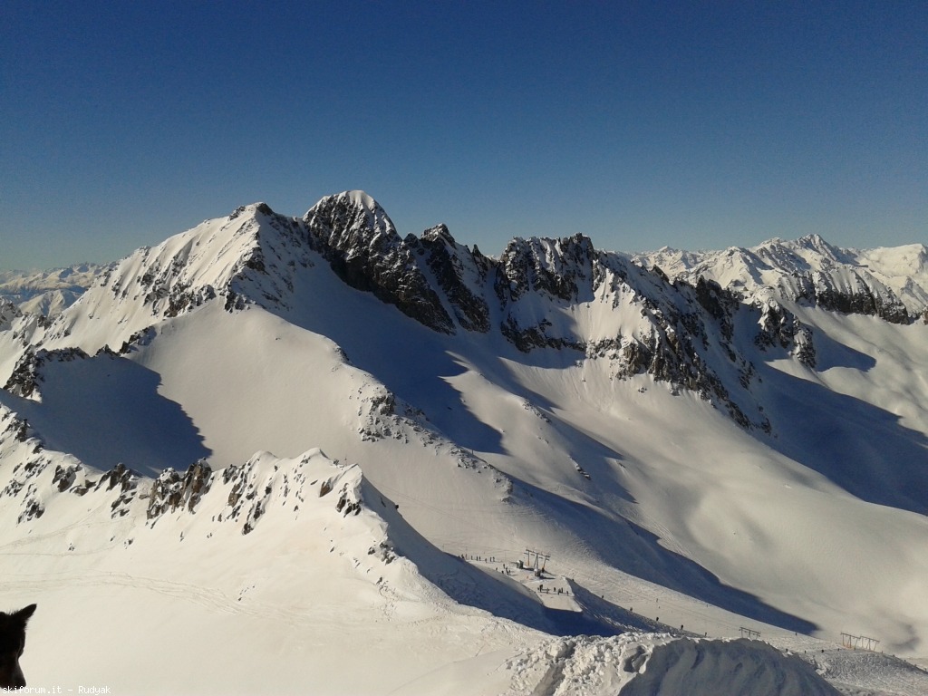 Cima Presena 3069 | SkiForum - Sci, turismo, sport e passione