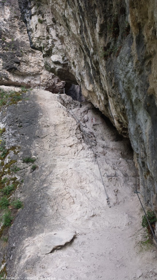 [TREKKING] La trinità di Mezzocorona - Piana Rotaliana (TN) | SkiForum ...