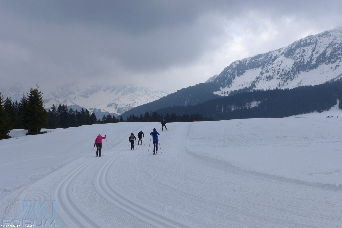Sci nordico: centro fondo di Passo Lavazè - 3 marzo 15 | SkiForum - Sci ...