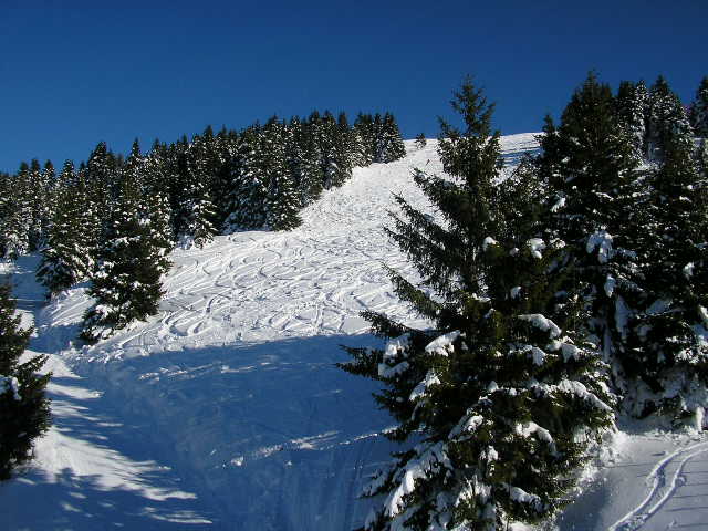 07/12/2008 monte pora | SkiForum - Sci, turismo, sport e passione